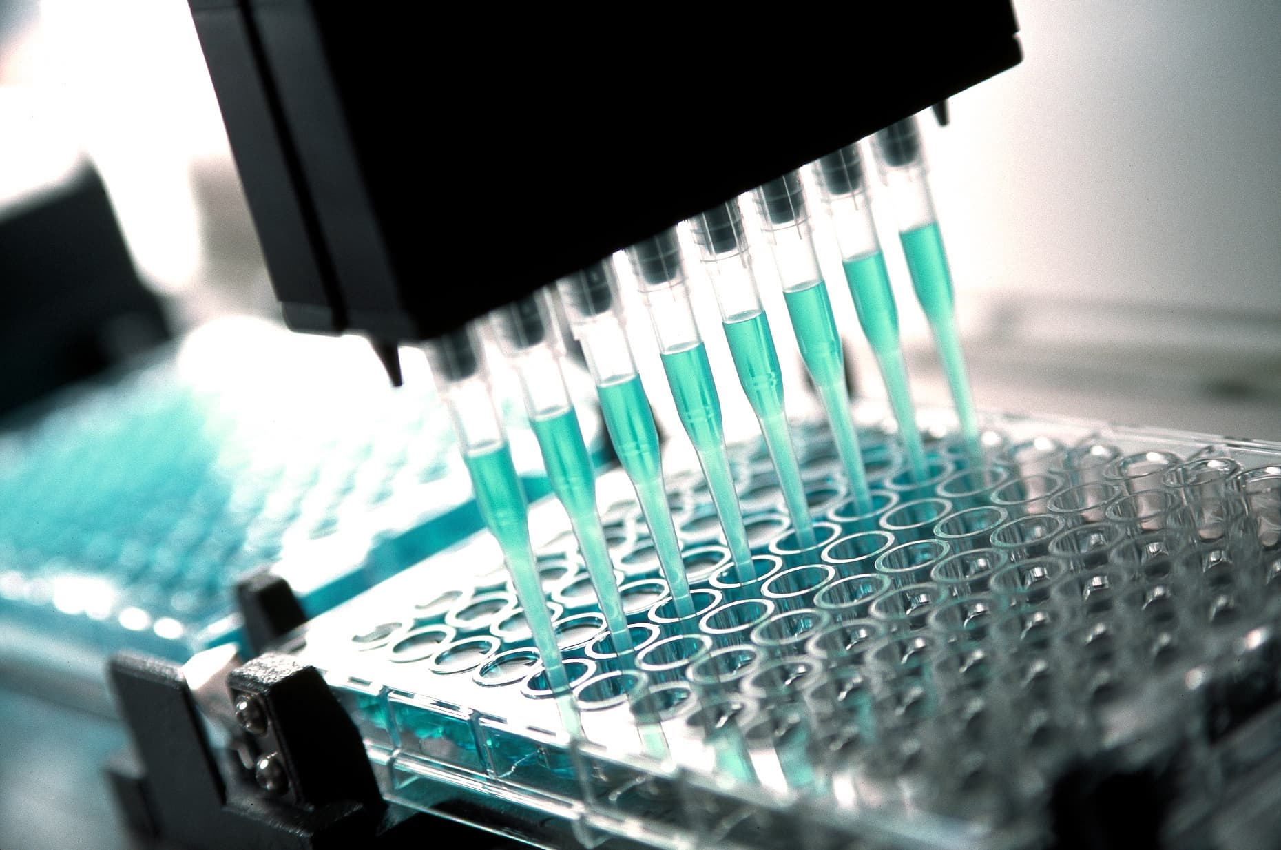 Designed for Diagnostics - PAXXUS